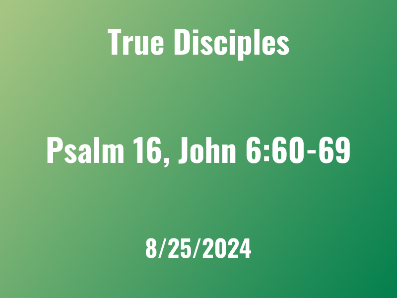 True Disciples – Tree of Life Anglican Church – Garner, NC